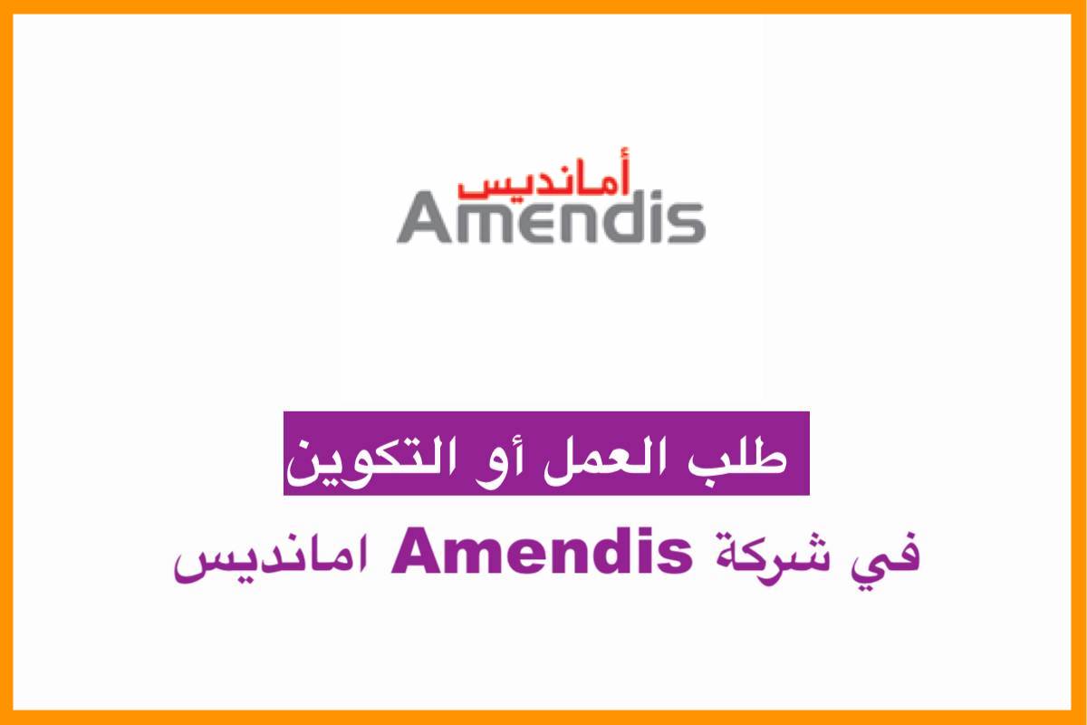 طلب العمل أو التكوين في شركة Amendis امانديس 2024